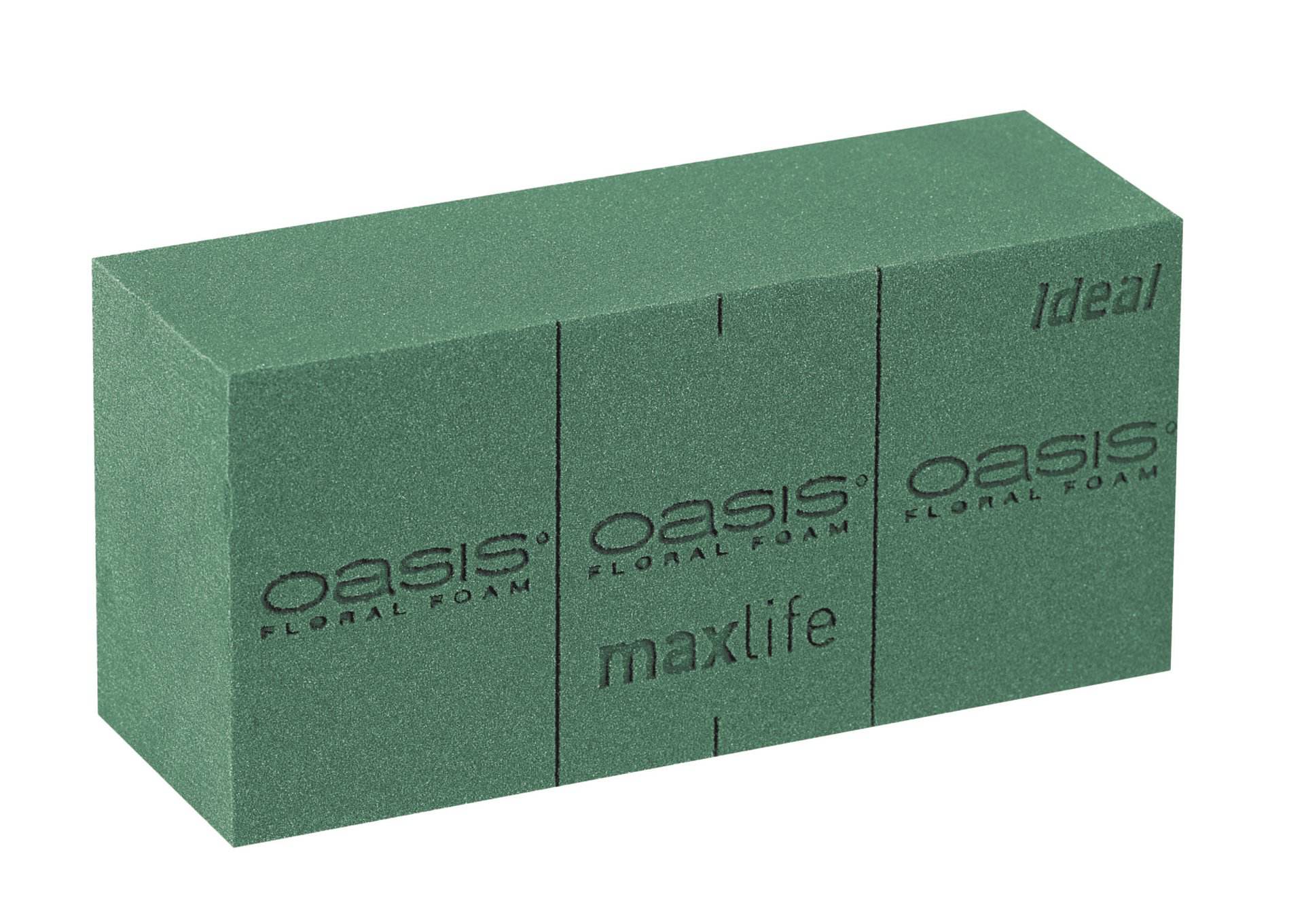 Mousse florale Base pour compositions | Opiflor